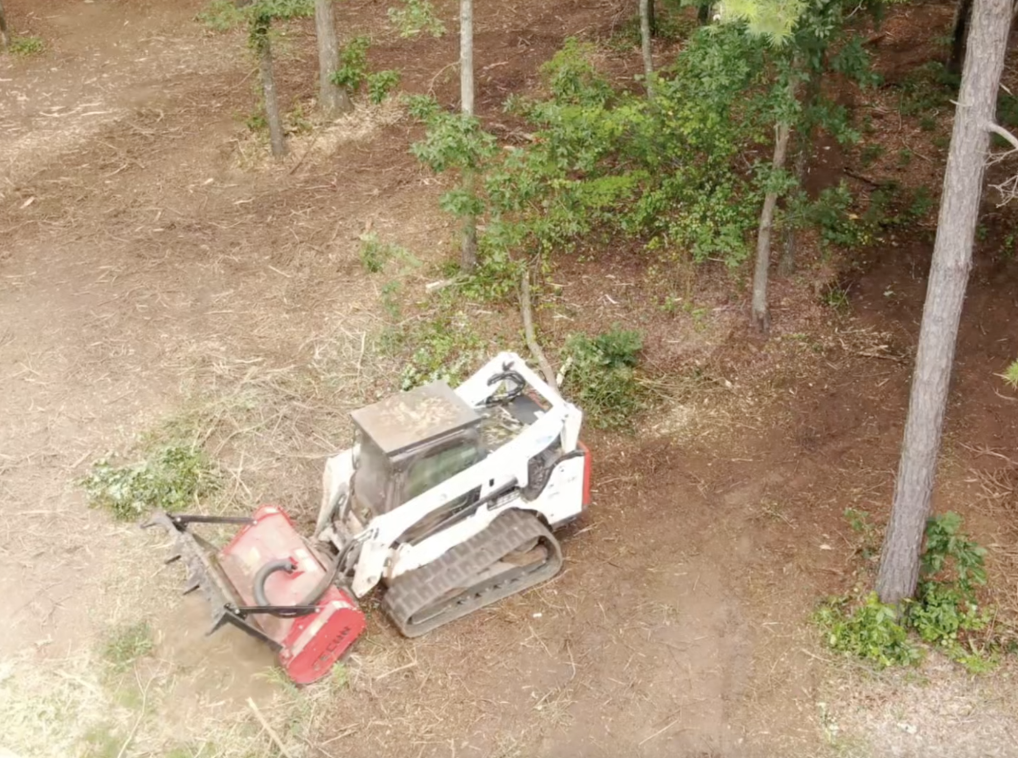 Top Five Reasons To Consider Forestry Mulching in North Carolina - Boom ...